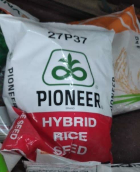 27P37 pioneer hybrid rice seed - ANANTH AGRI SERVICES